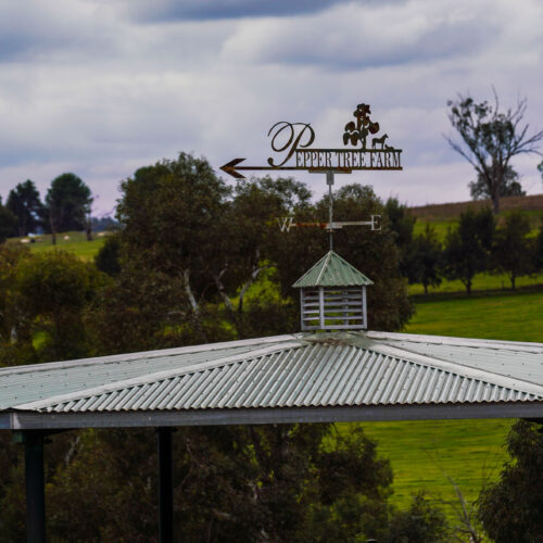 Pepper Tree Farm – Thoroughbred Breeding & Reproductive Specialists ...